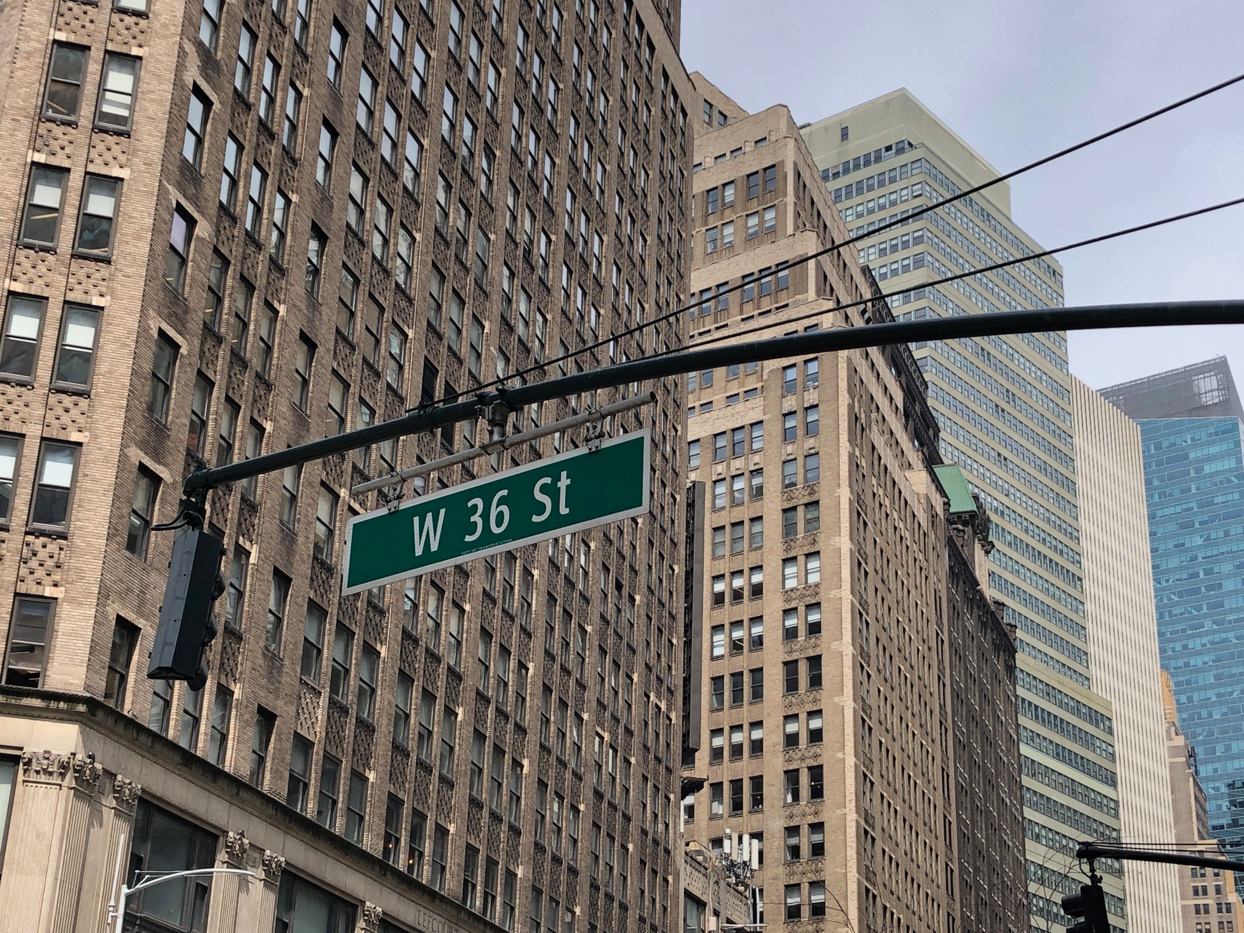 Pest Control Midtown - Ants