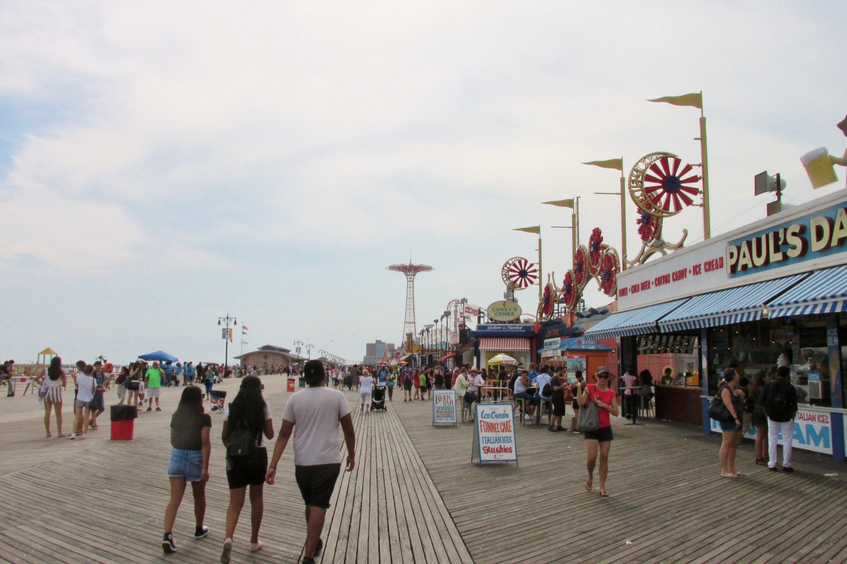 Pest Control Coney Island - Rats & Mice