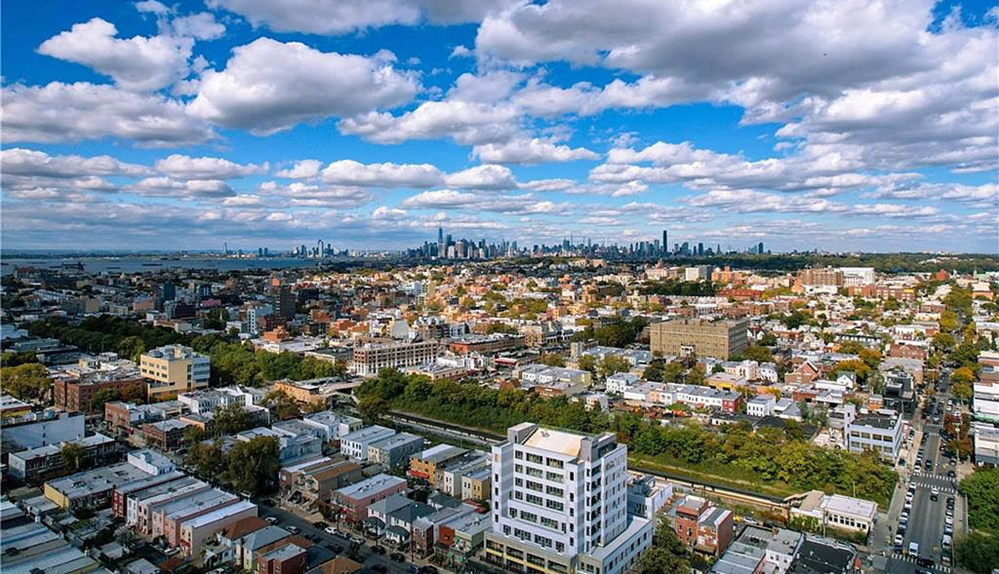 Pest Control Borough Park - Roaches