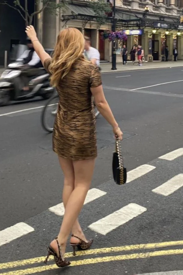 Rent Suki Dress Tiger Print - De La Vali | HURR