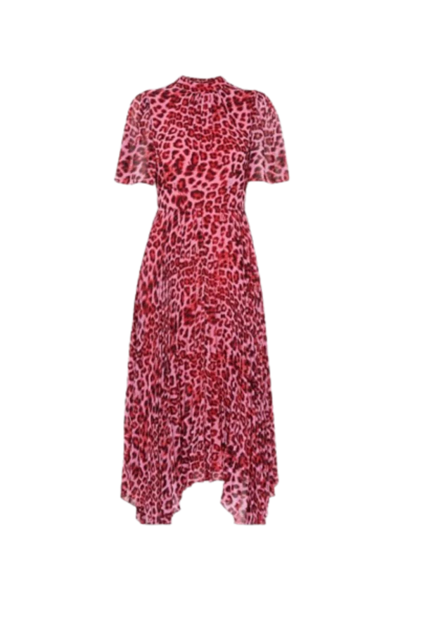 Rent Jungle Cheetah Pleated Dress - Whistles | HURR