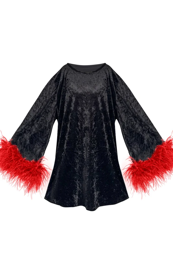 Rent Jess Mini Little Black Party Dress With Red Feathers - TOMA | HURR