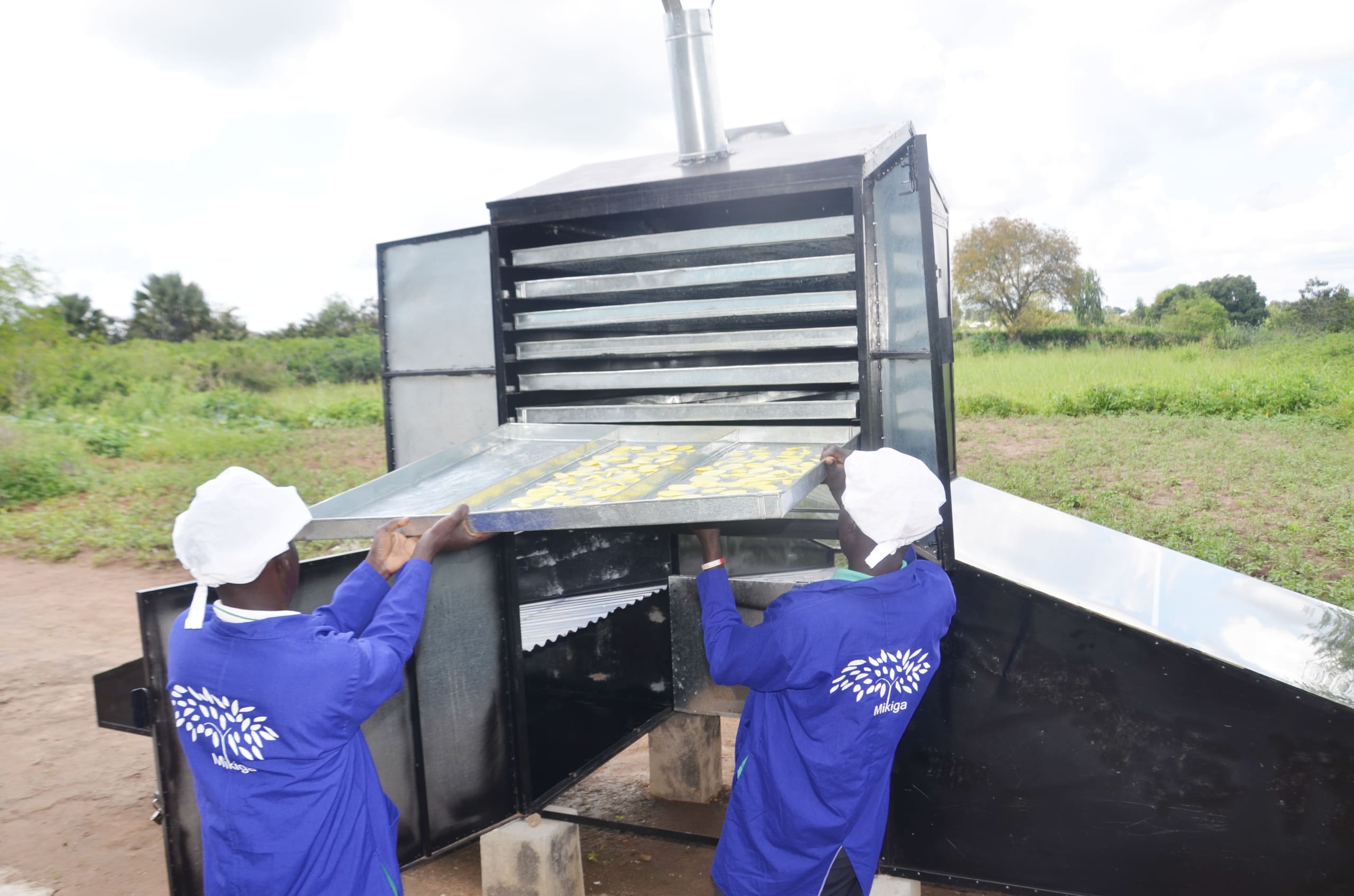 How Solar Dried Mangoes Are Breaking the Hunger Cycle in Yumbe’s ...