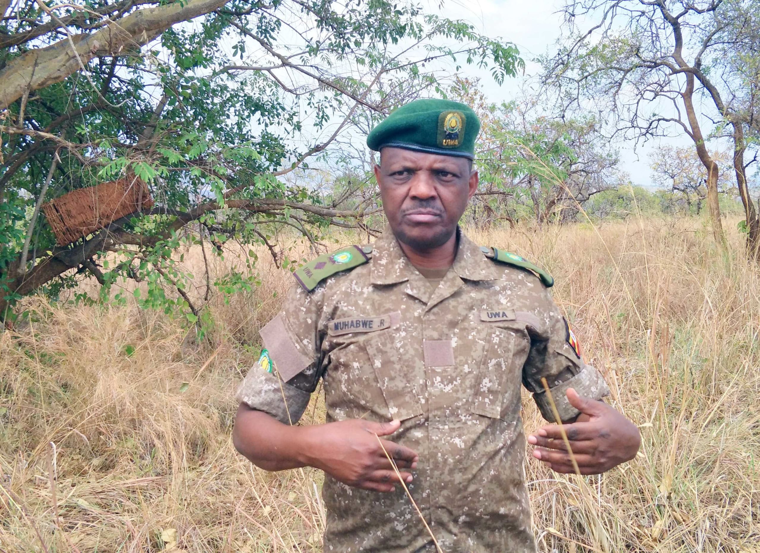 How beehives are protecting communities from Elephant encroachment ...