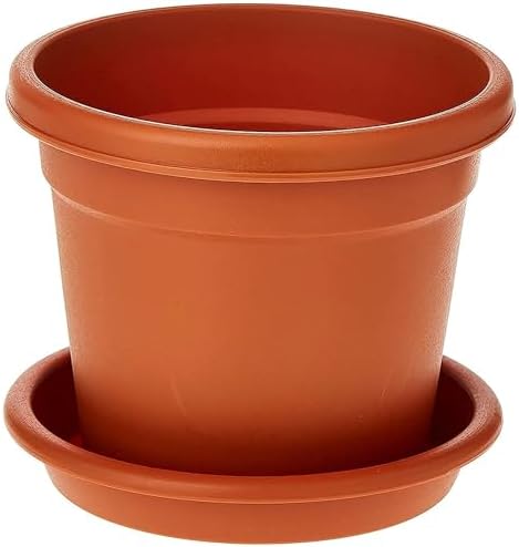 Garden Oasis Landscape | Indoor plants dubai & Garden Landscaping ...