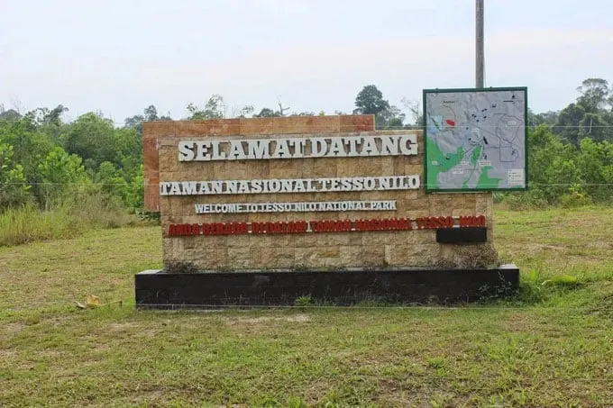 Taman Nasional Tesso Nilo, Apa, Di Mana, dan Mengapa Penting? - senpoli.com