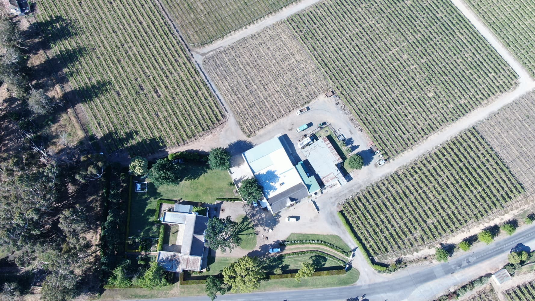For Sale: Historic Table Grape Farm, Worcester | Anna Basson