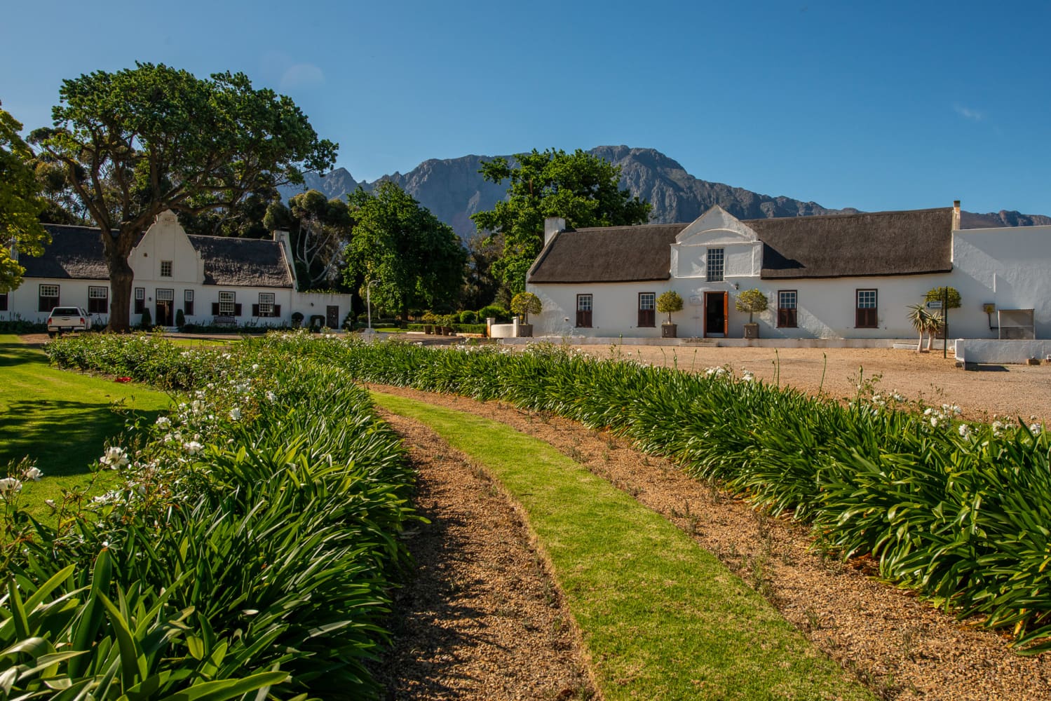 For Sale: Historic Table Grape Farm, Worcester | Anna Basson