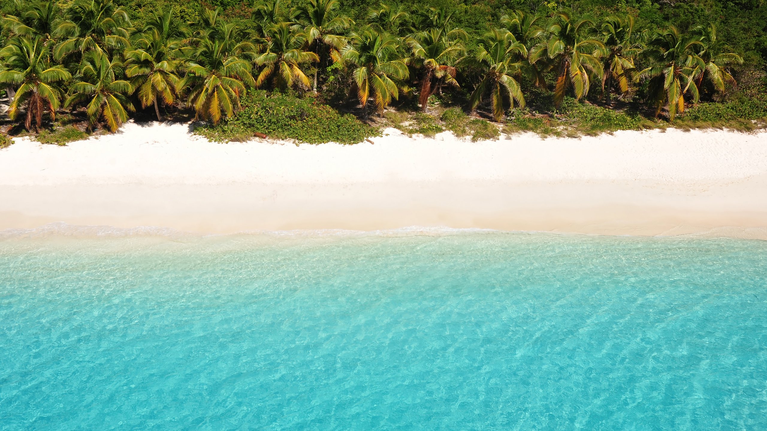 Key Cay Yacht Charter | BVI Yacht Charter | Y.CO