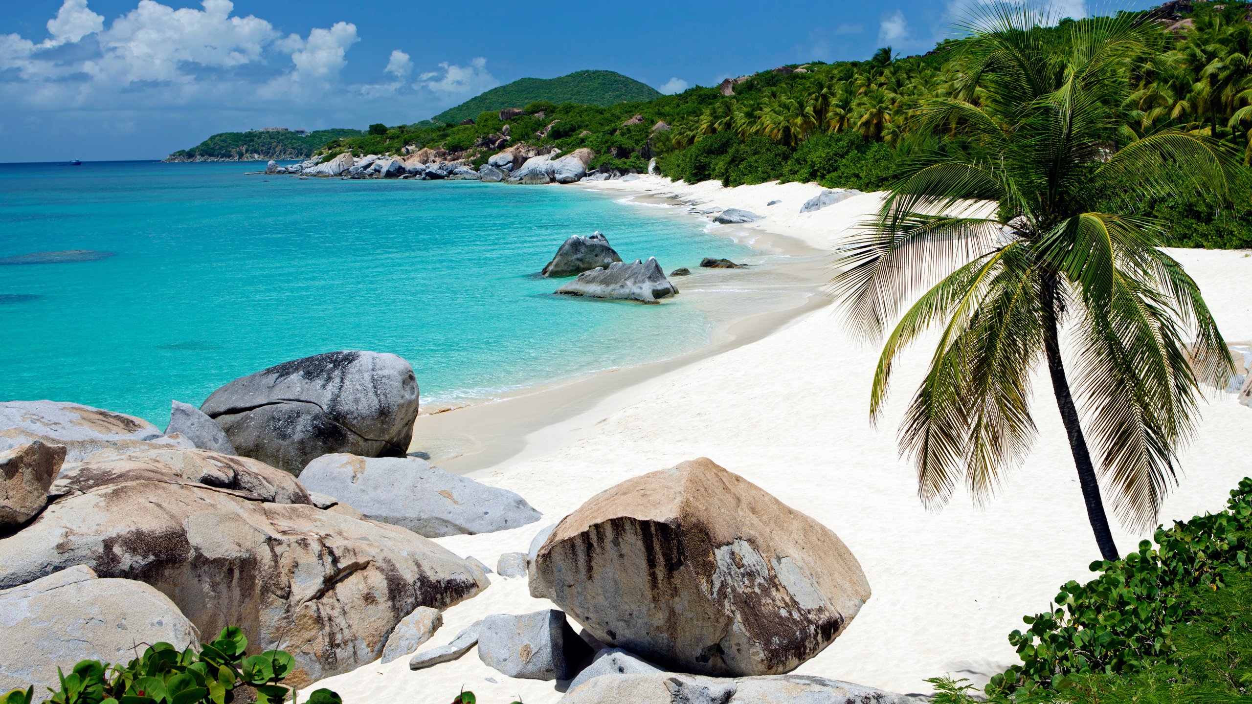 British Virgin Islands Yacht Cruising Guide | Y.CO