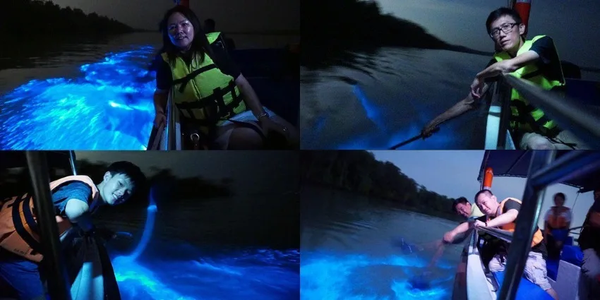 Blue Tears Kuala Selangor Tours 2025 | Book TicketsToDo Online