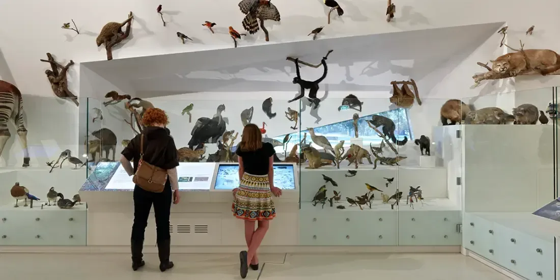 Melbourne Museum Tickets 2025 | Book TicketsToDo Online