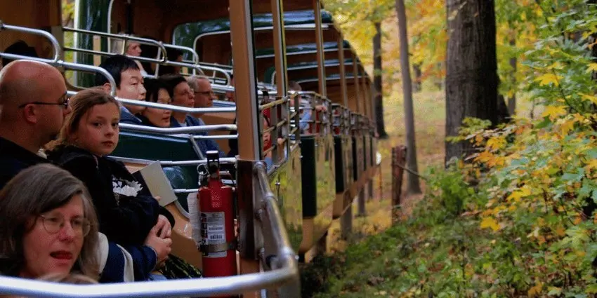 Bronx Zoo Tickets 2025 | Book TicketsToDo Online