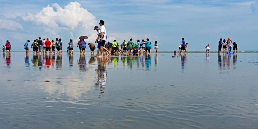 Sky Mirror Kuala Selangor Tours 2025 | Book TicketsToDo Online