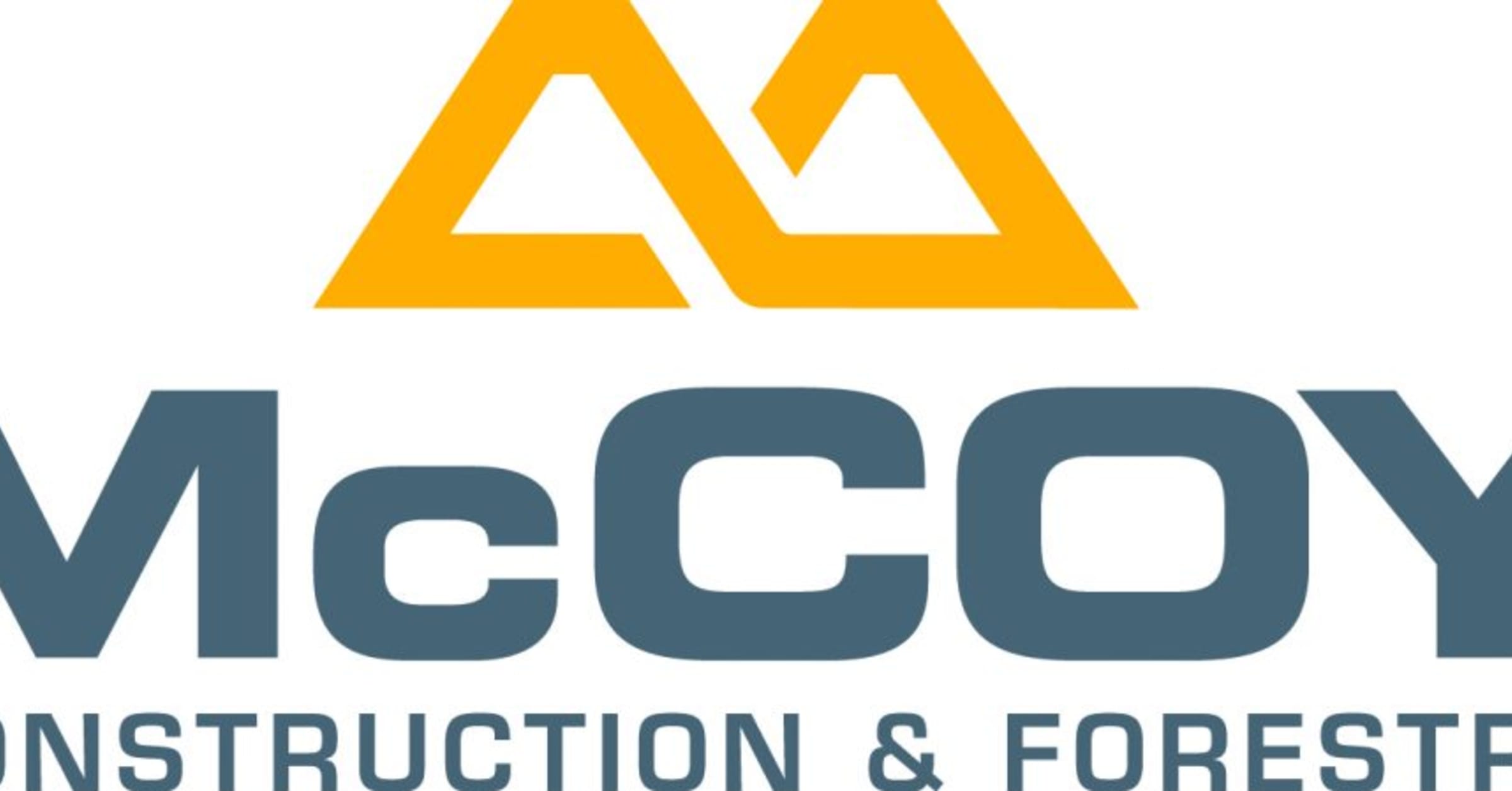 McCoy Construction :: Minocqua Dragon Boat