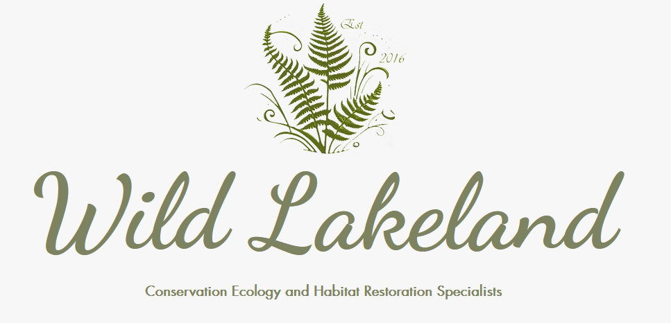 Lowther Conservation