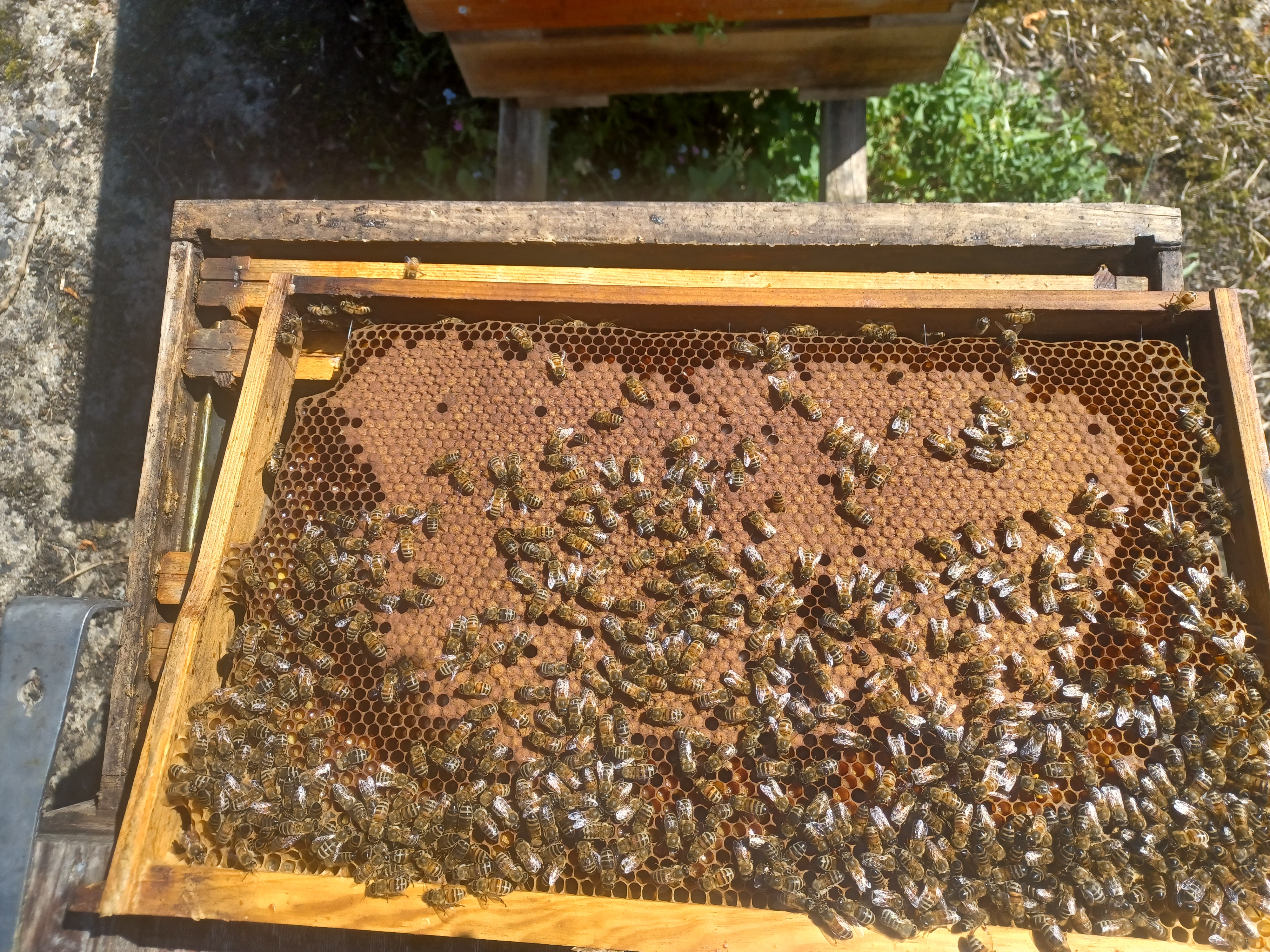 The Lake District Honey Company