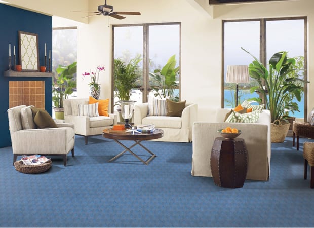 Elevate Your Punta Gorda Home with Premium Carpet and Hardwood Flooring ...