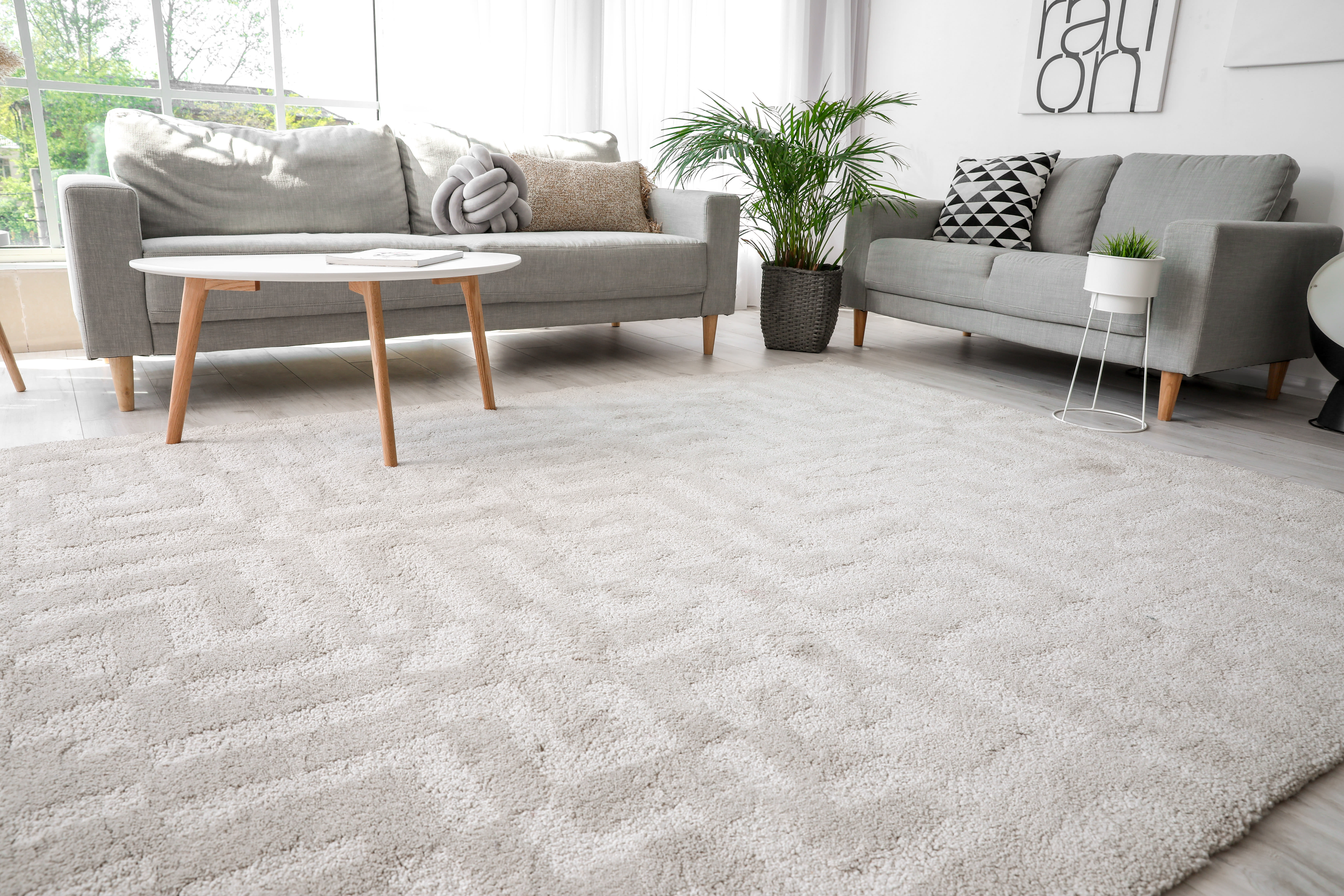 Low-maintenance carpet options for busy families in Johns Creek, GA ...