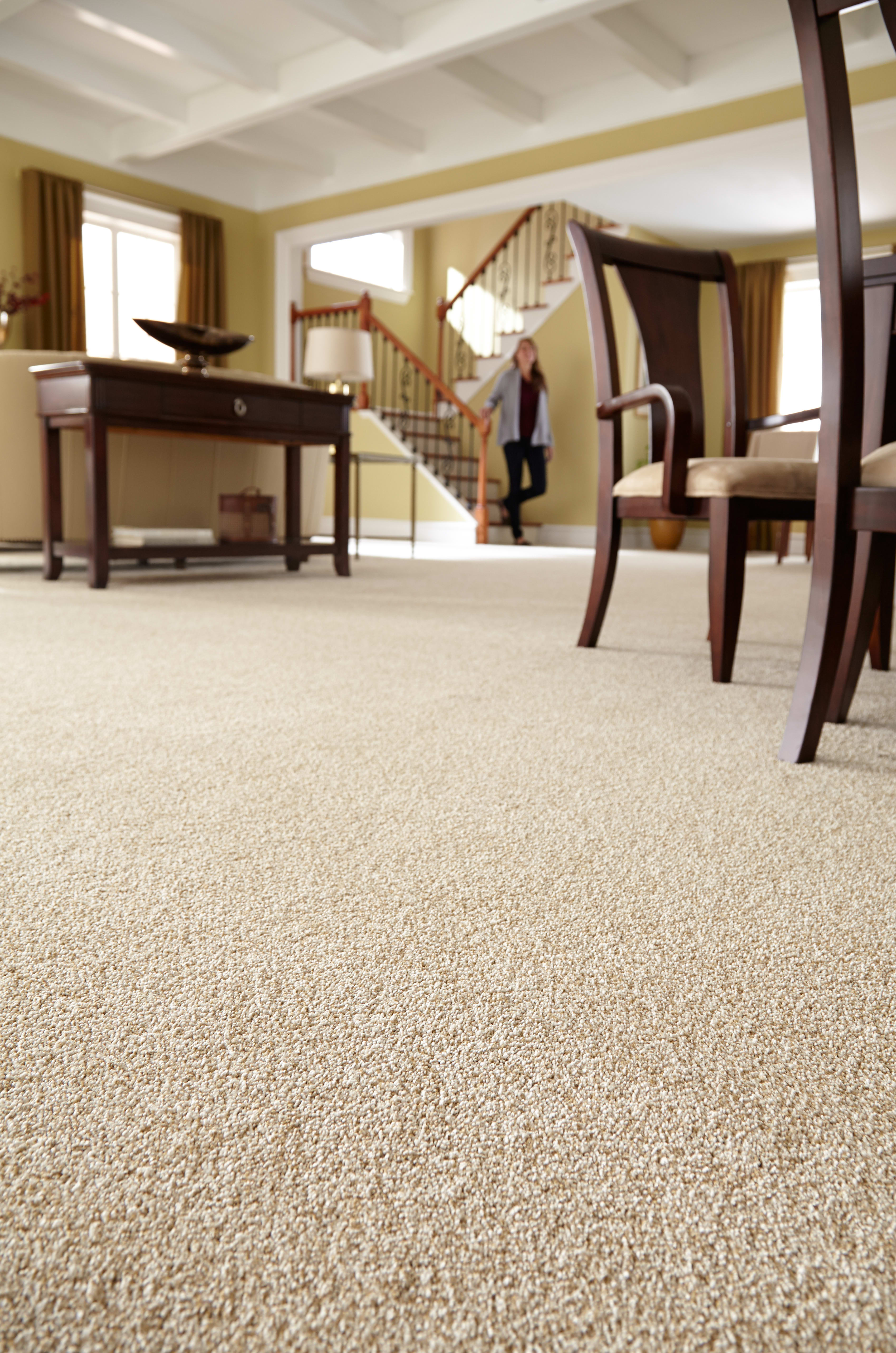 2025 Flooring Trends: What’s New in Carpet and Tile Design | Sebring ...
