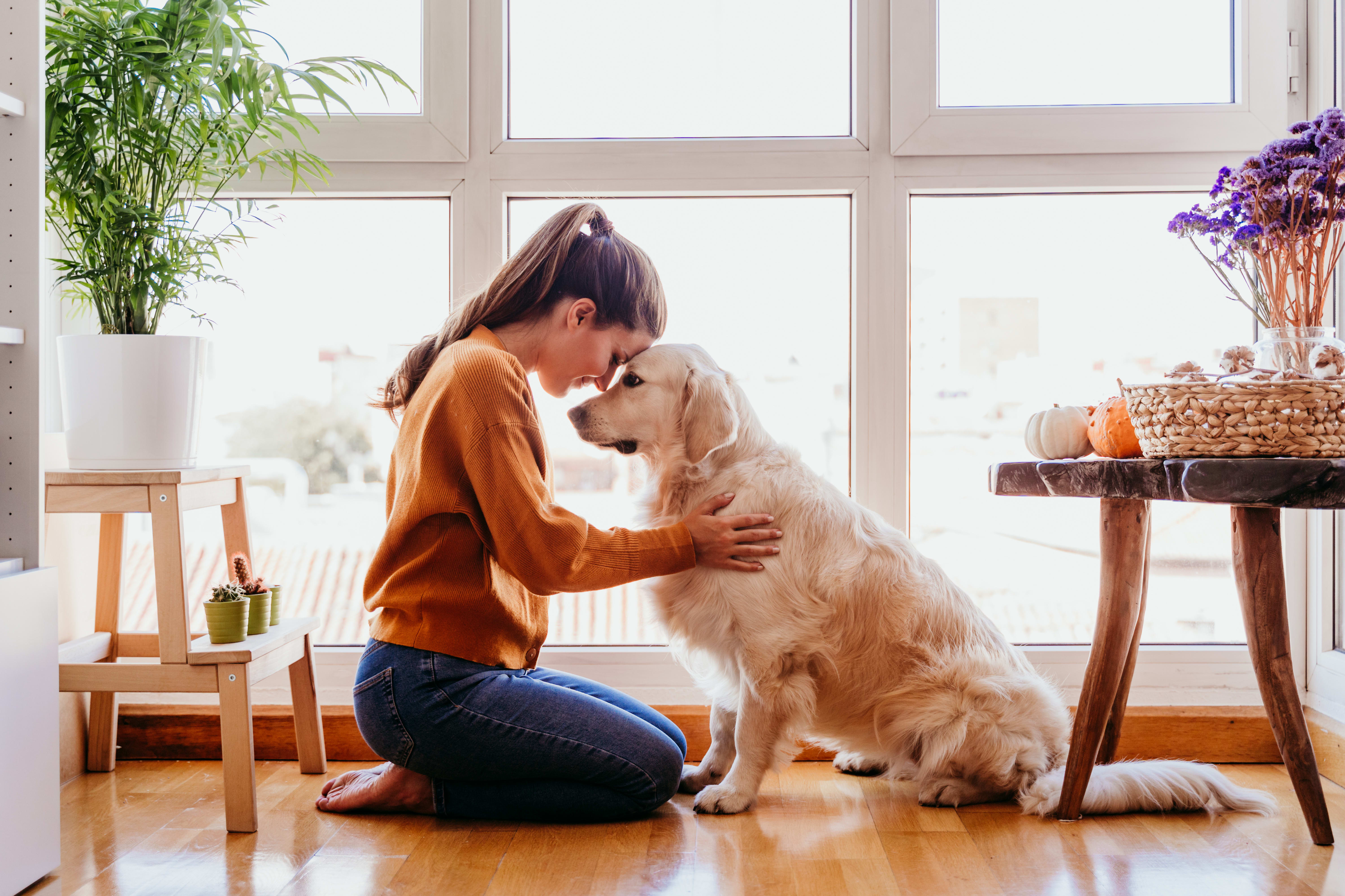 Exploring Waterproof Flooring Width Options for Your Home | Spring, TX ...