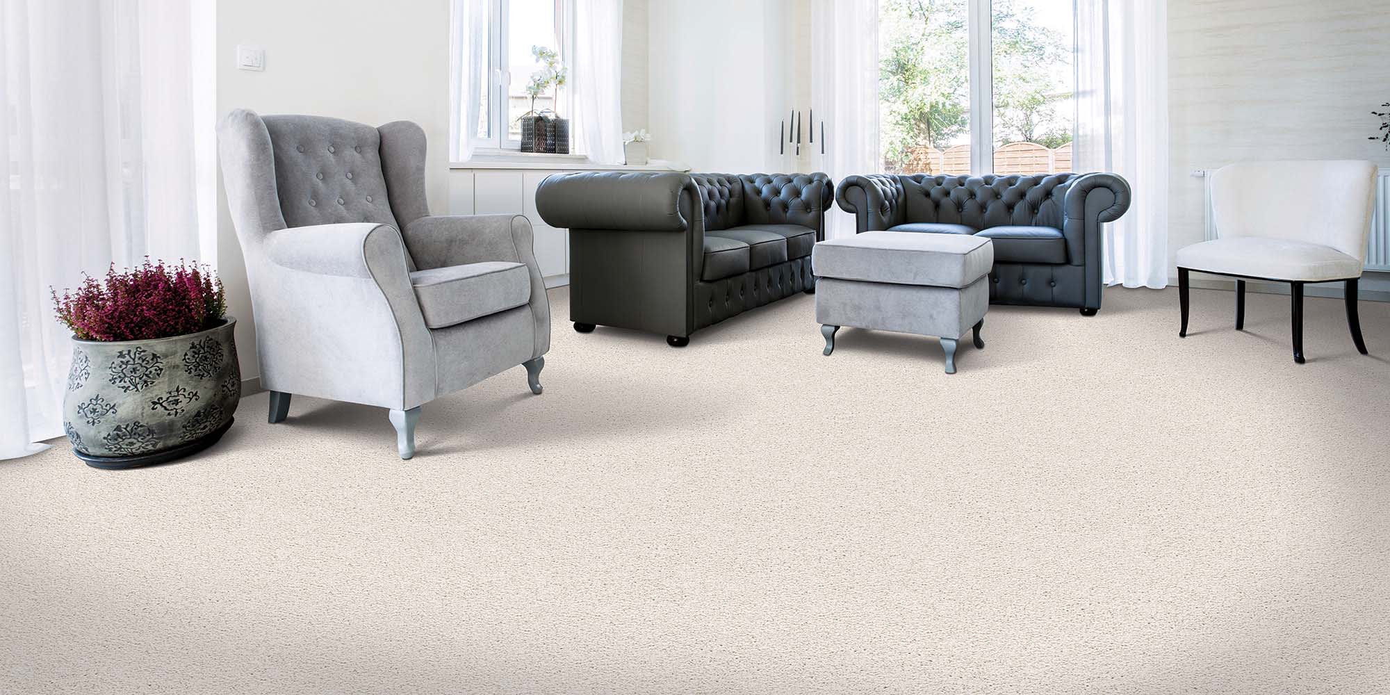 Transform Your Home with Plush Carpet from Wayne Wiles Floor Coverings
