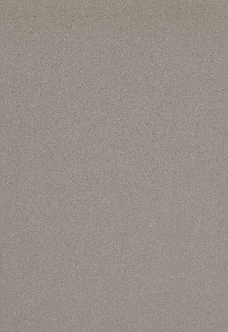 Forbo Flooring Marmoleum Bulletin Board 2182 Potato Skin