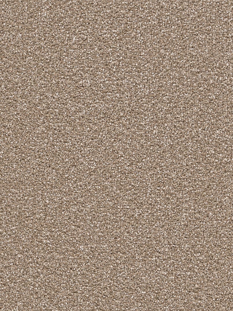 Dream Weaver Carpet Cape Cod 858 Acorn
