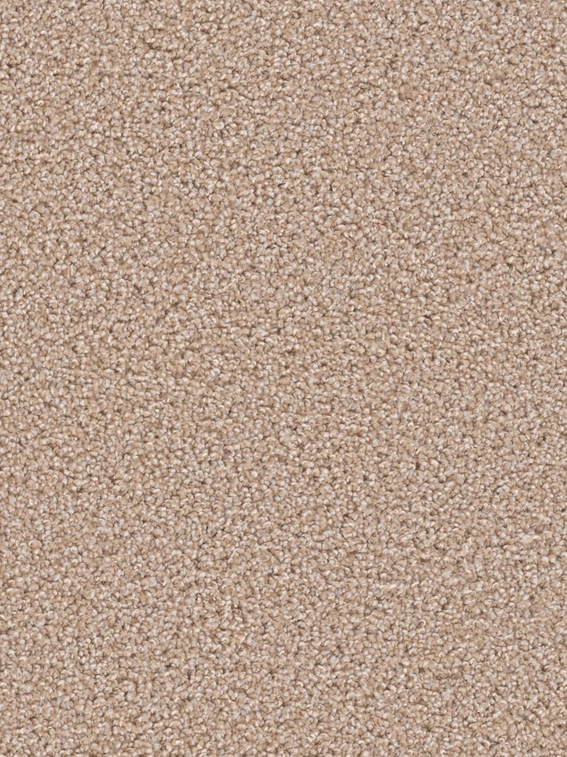 Dream Weaver Carpet Pike's Peak 701 Sawgrass