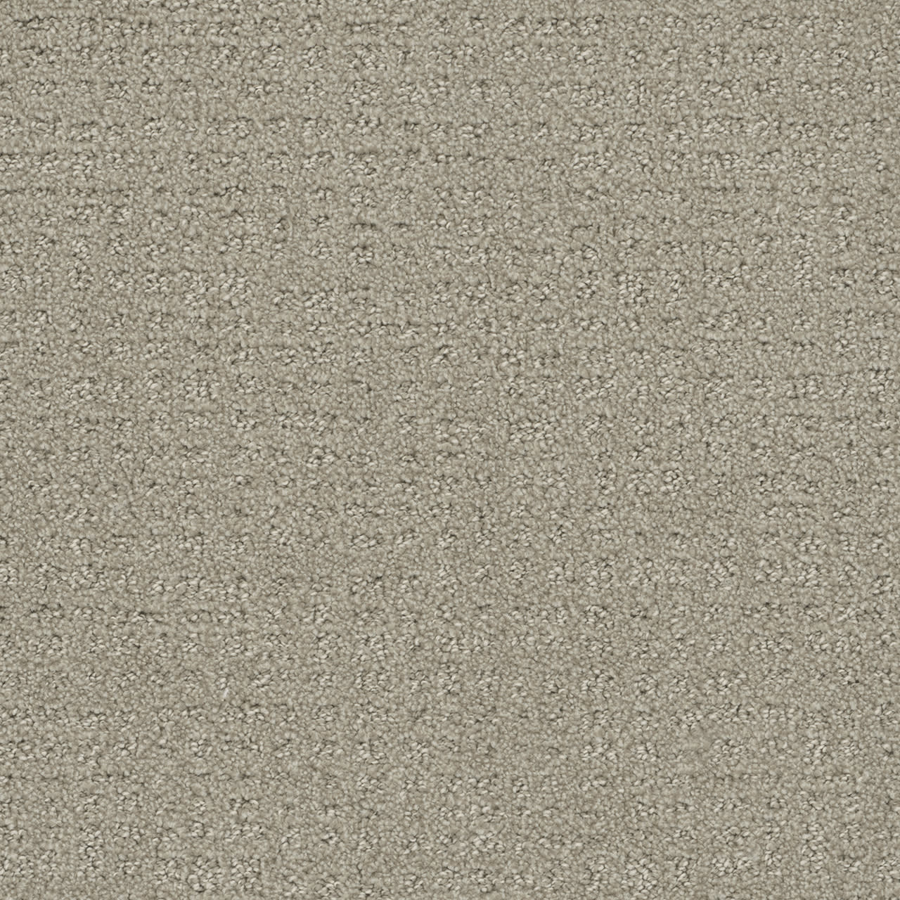 Dream Weaver Carpet Common Ground 6006 Moon Mist