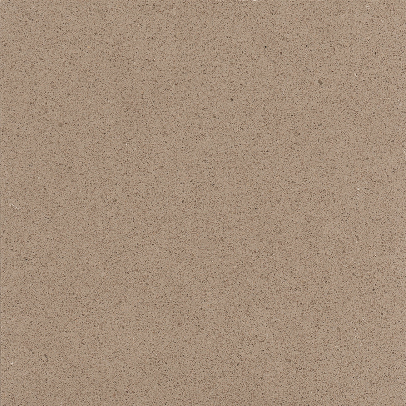 Caesarstone Classico 2370 Mocha