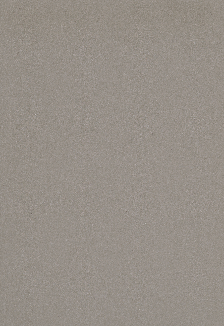 Forbo Flooring Marmoleum Bulletin Board 2182 Potato Skin