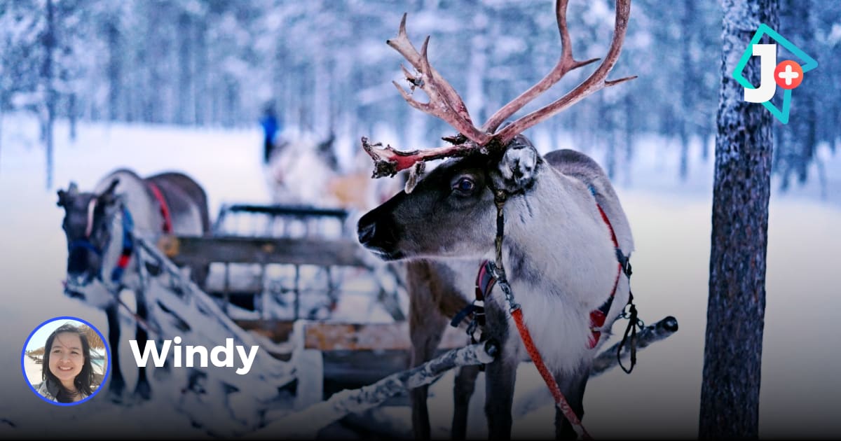 Winter Adventure in Finland ️ Northern Light, Snowmobile, Reindeer, Ice ...