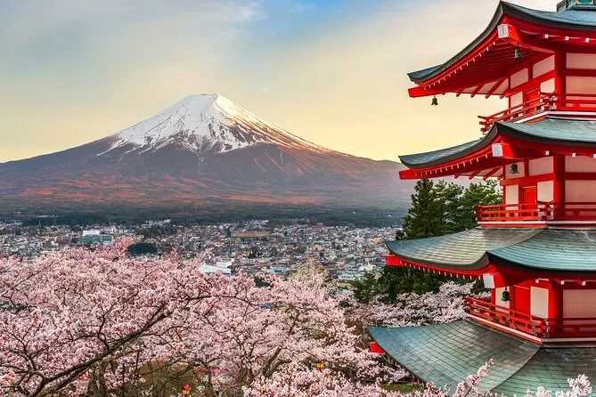 Explore Japan: 7 Days of Adventure from Tokyo to Mt. Fuji, Kyoto, Osaka ...