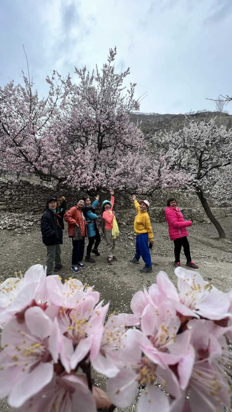 Spring Blossom Trip To North Pakistan - Travel Pakistan in March 2024 ...
