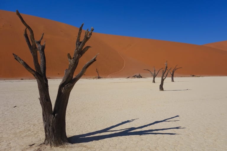 Discovery Horseback Ride in Namibia: Ride from Inland to the Atlantic ...