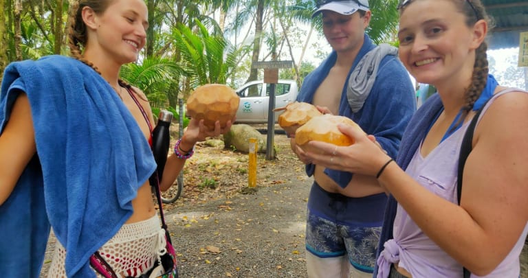Explore Costa Rica and the true meaning of "Pura Vida" with a local ...