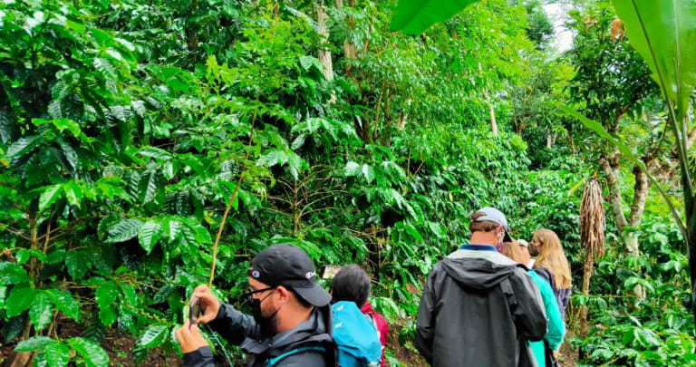 Explore Costa Rica and the true meaning of "Pura Vida" with a local ...
