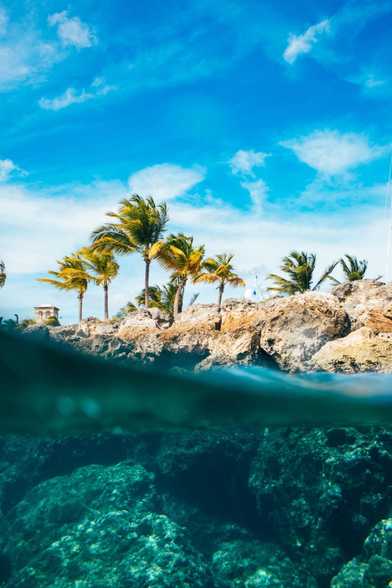 The Wave of Barbados - Snorkeling, Boat Tour and Relaxation! - Travel ...