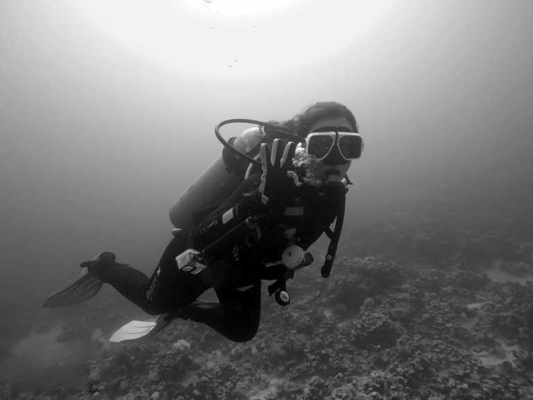 Discover the Great Pyramids and get the Diving Open Water Course in ...