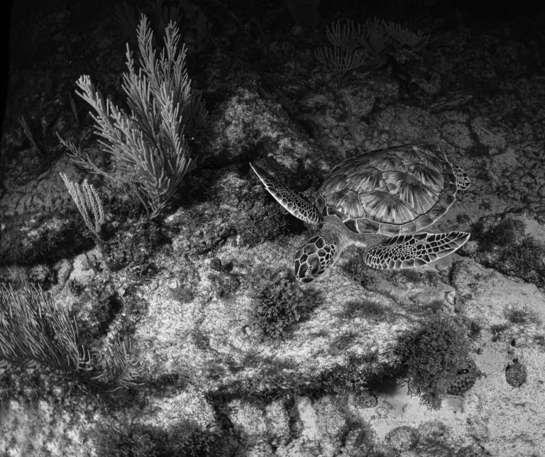 Entdecke die Magie Mexikos - Yoga, alte Maya-Kultur und mehr! - Reise ...