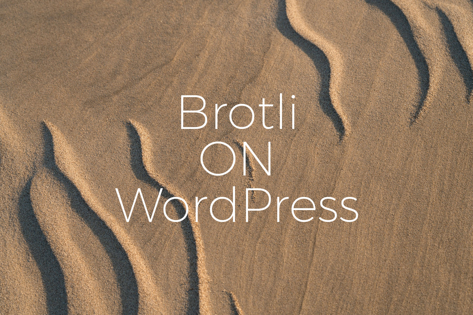 Optimización de la Compresión Brotli en WordPress: La Guía Definitiva - GM Coders