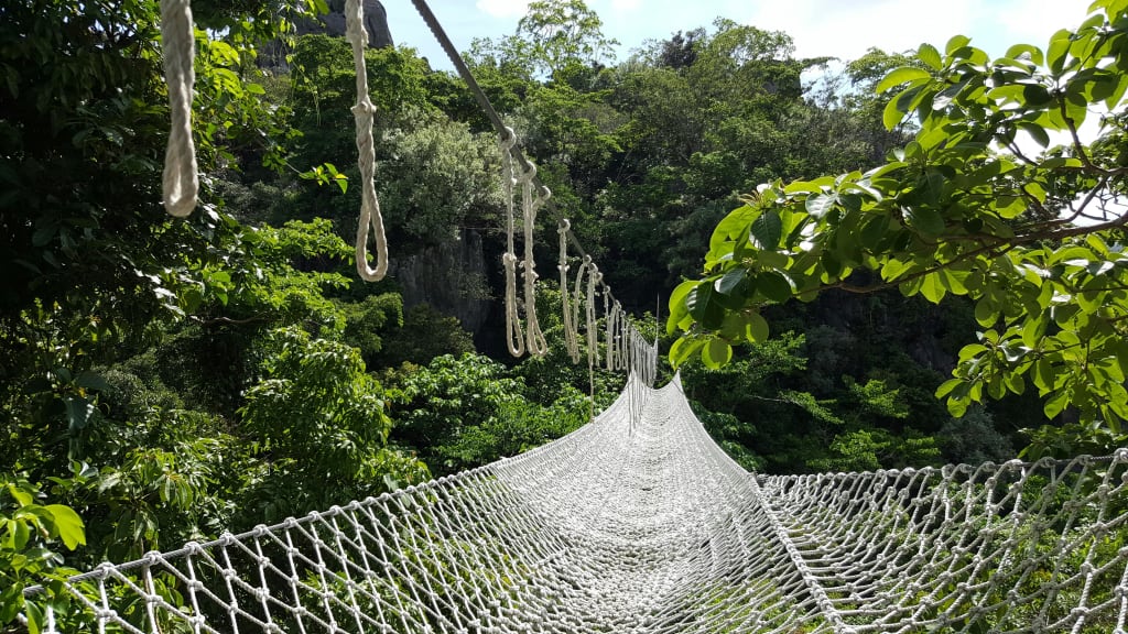 Prepare for the Unexpected: How to Build Your Safety Nets - Sage Habits