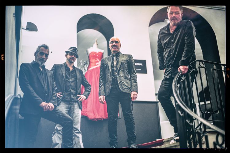 DOOZY : Groupe de musique - Pop