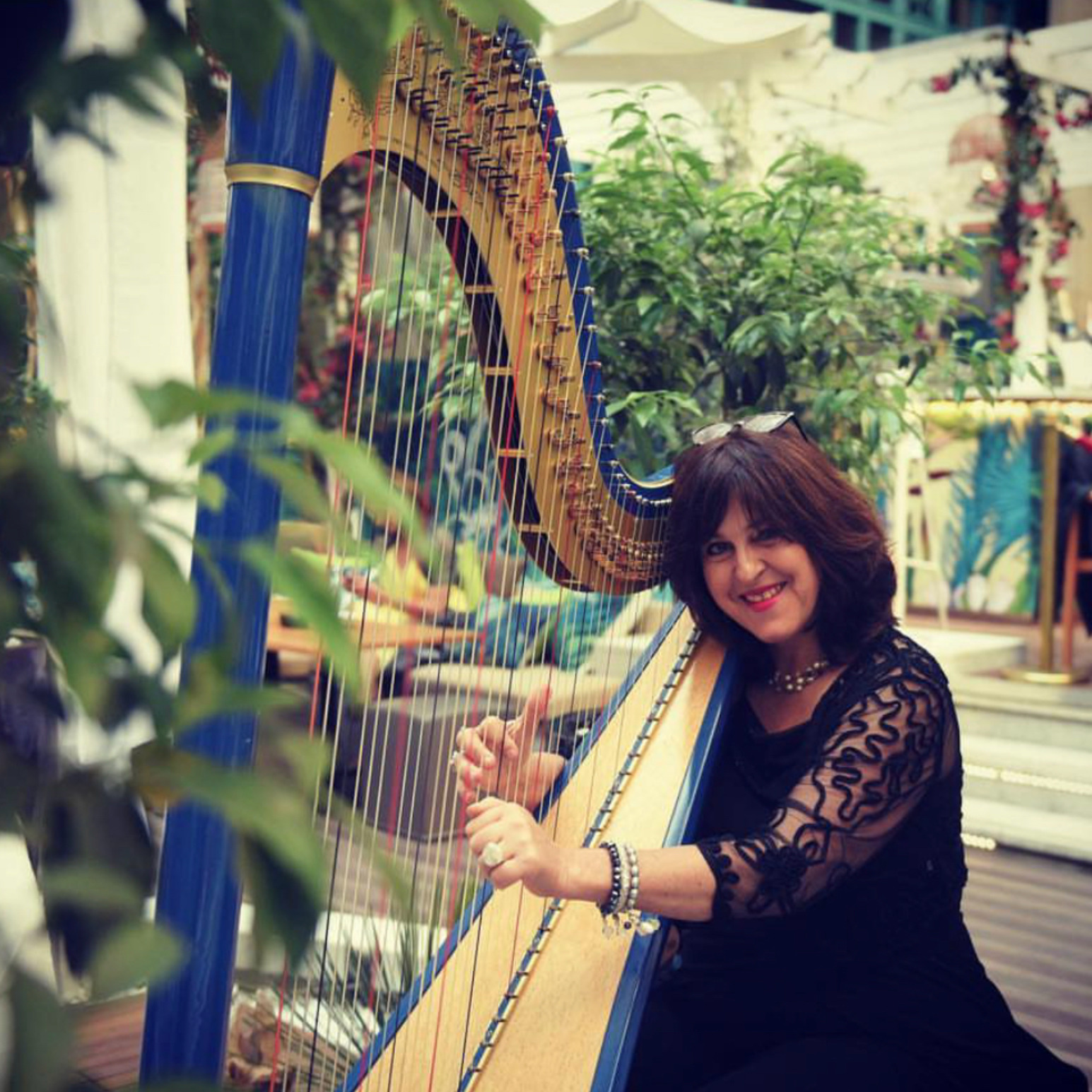 Myriam Serfass, Harpiste : Groupe de musique - Pop