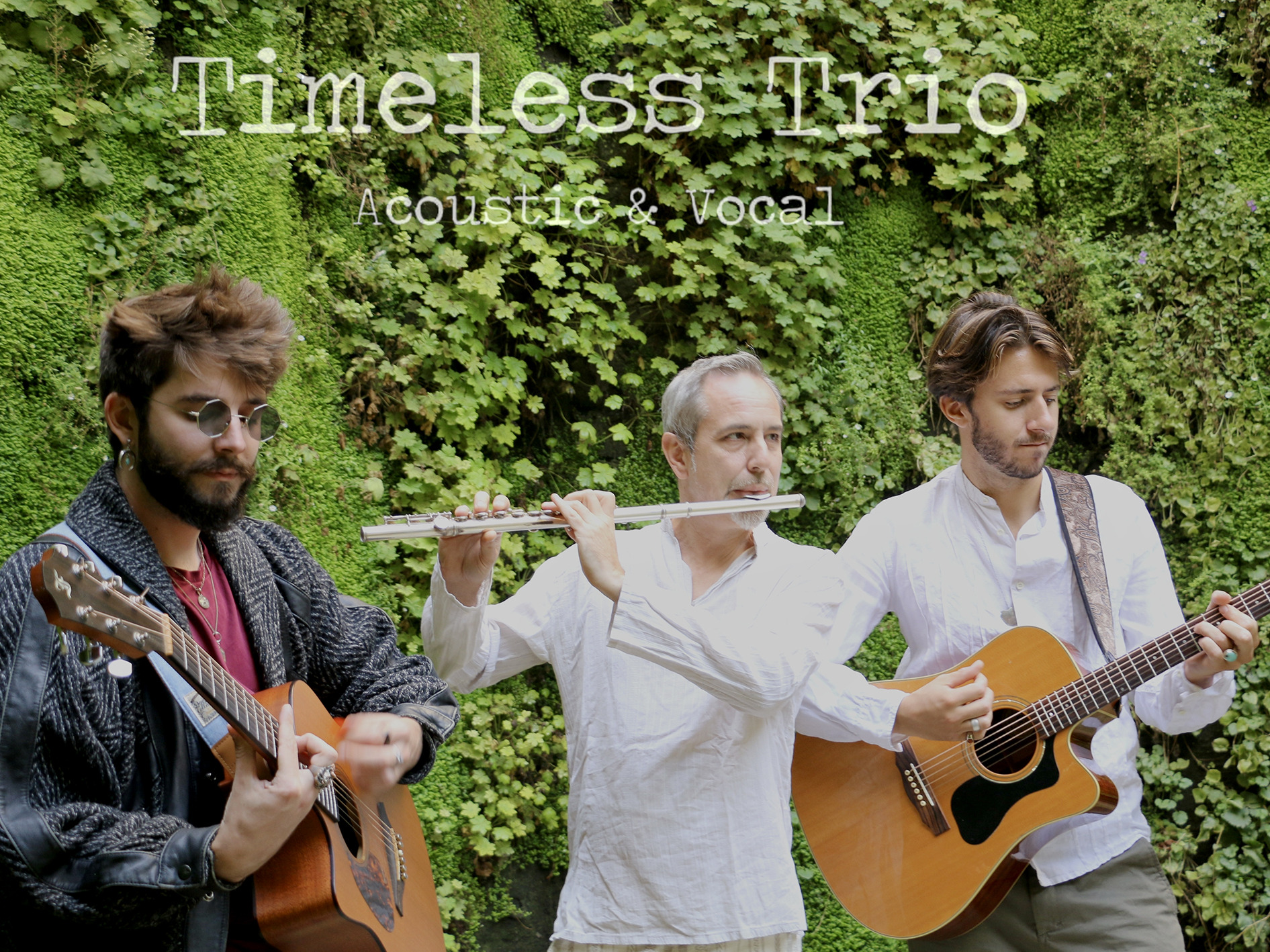 Timeless Trio: Groupe de musique - Pop / Folk / Soul