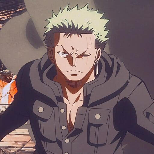 Roronoa Zoro Pfp
