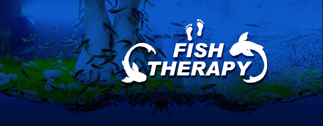 Fish Spa Activity For Corporate Employee Engagement | Indoor Activity ...