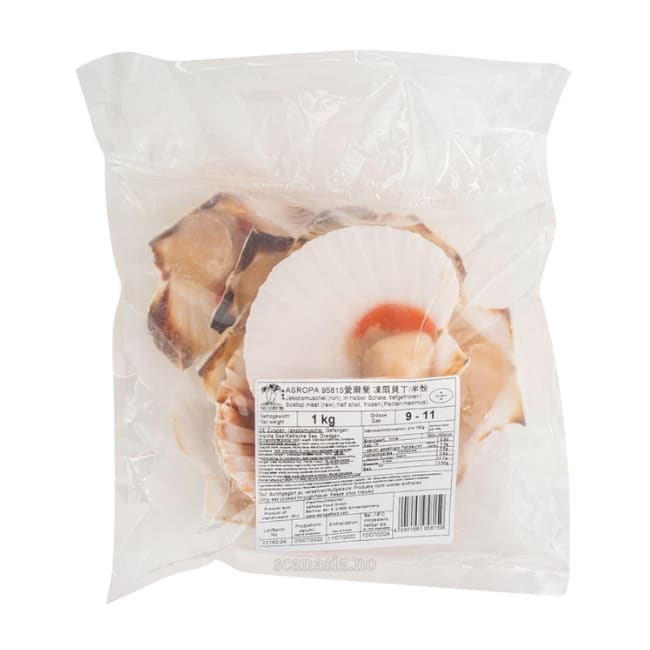 TCT Scallop Meat Half Shell (9-11) 8x1kg FROZEN Velkommen