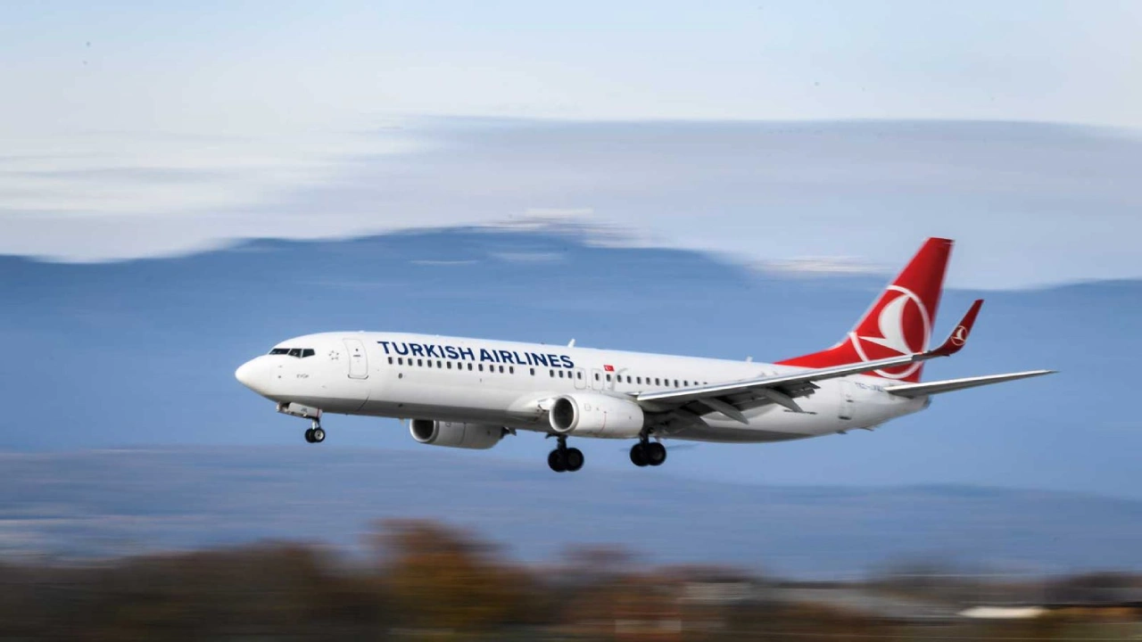 Turkish Airlines JFK Terminal - Departures, Arrivals, Check-In & Map